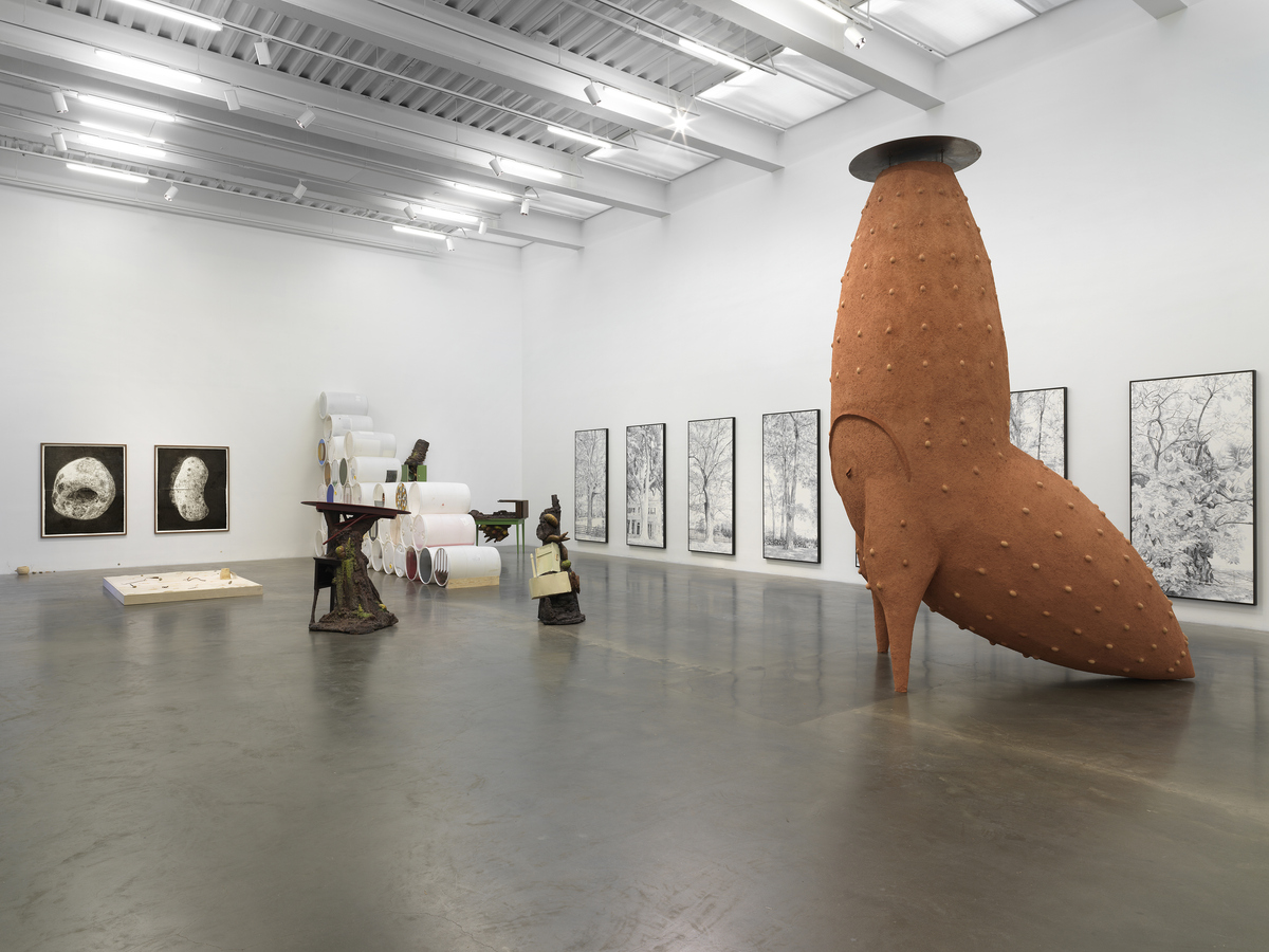 Gabriel Chaile - Artistas - Fortes D'Aloia & Gabriel