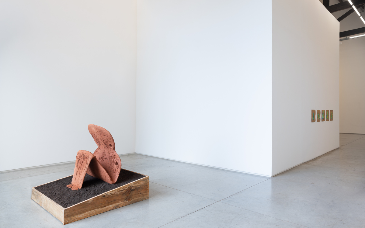 Principio de Semejanza - Exhibitions - Fortes D'Aloia & Gabriel